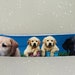 Labrador | Ribbon Hair Ties | Labrador Hair Ties | Yellow Lab | Black ...