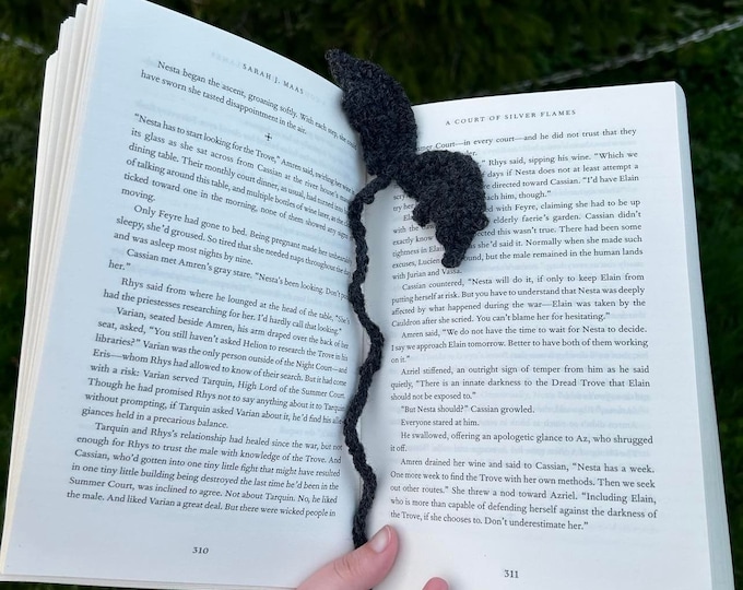 Wing Crochet Bookmark Fourth Wing Iron Flame Rider Signet Tairn Andarna ...