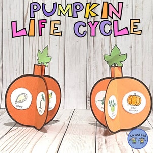 Pumpkin Life Cycle Kids Craft - Etsy