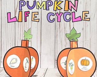 Pumpkin Life Cycle Activity Craft | Life Cycle of a Pumpkin | Halloween ...