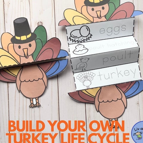 Pumpkin Life Cycle Kids Craft - Etsy