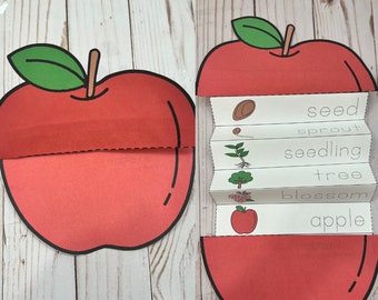 Apple Tree Life Cycle Craft, Kids Printable Craft Template, Fall Craft ...