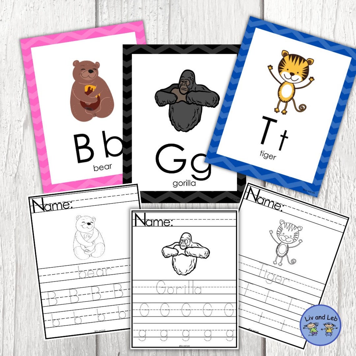 Zoo Animal Phonics Flashcard-poster and Handwriting Coloring Pages - Etsy