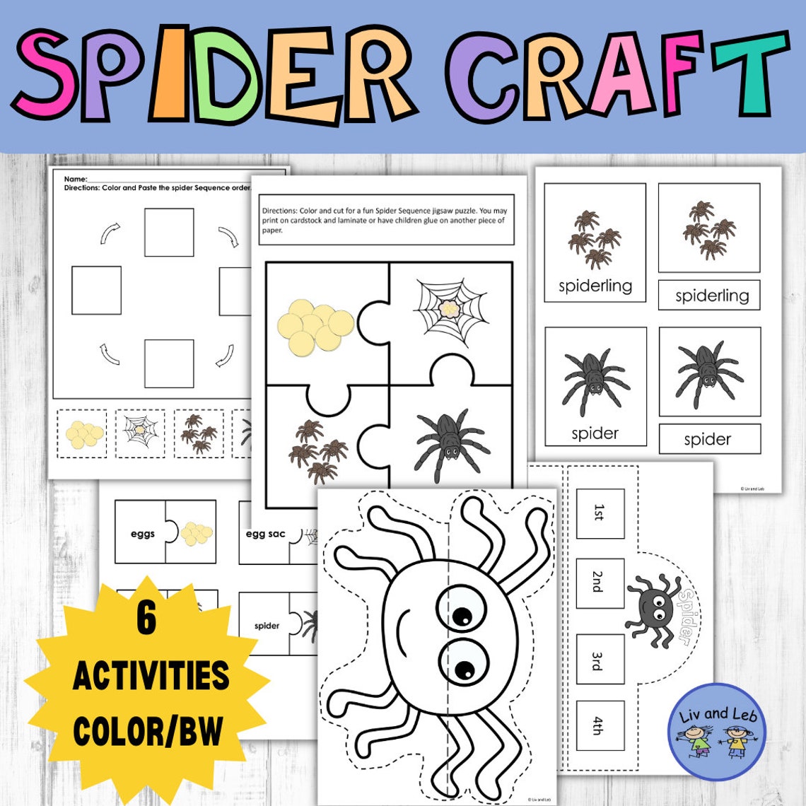 Spider Life Cycle Kids Craft - Etsy