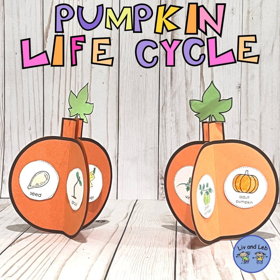 Pumpkin Life Cycle Kids Craft - Etsy
