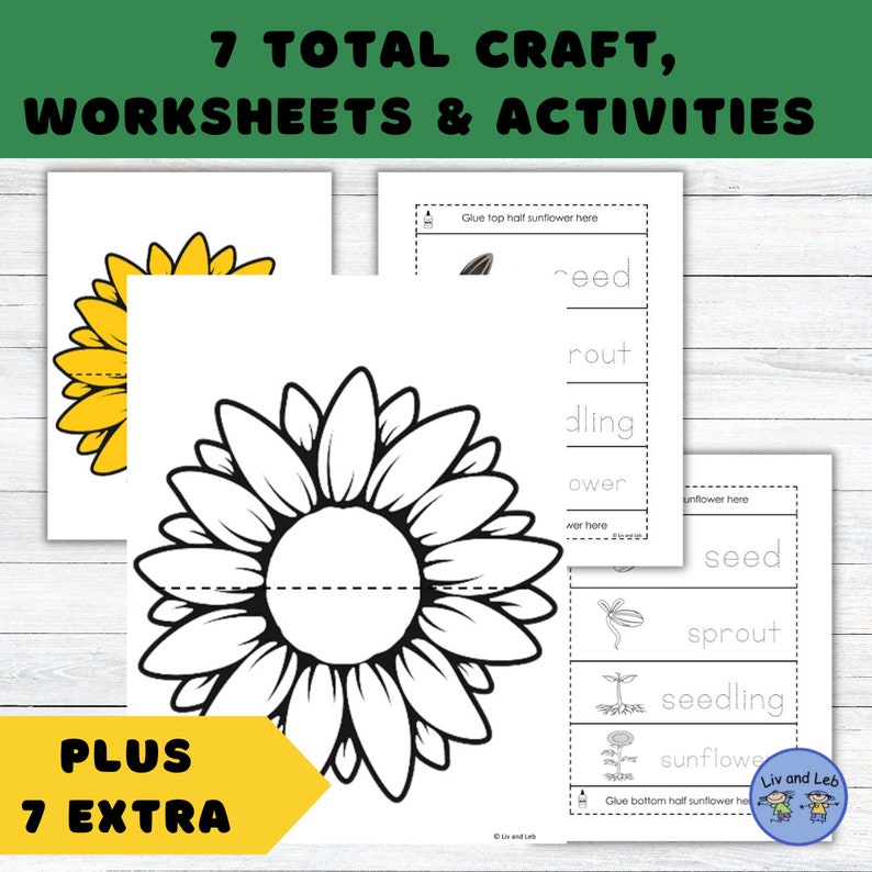 Plant Life Cycle Sunflower Craft Spring Crafts - Etsy