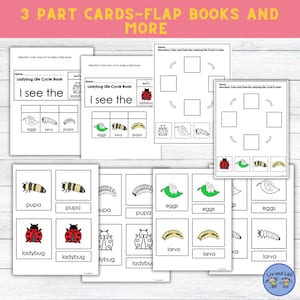 Ladybug Life Cycle Activity Bundle: Montessori Cards, Puzzle (PDF) - Etsy