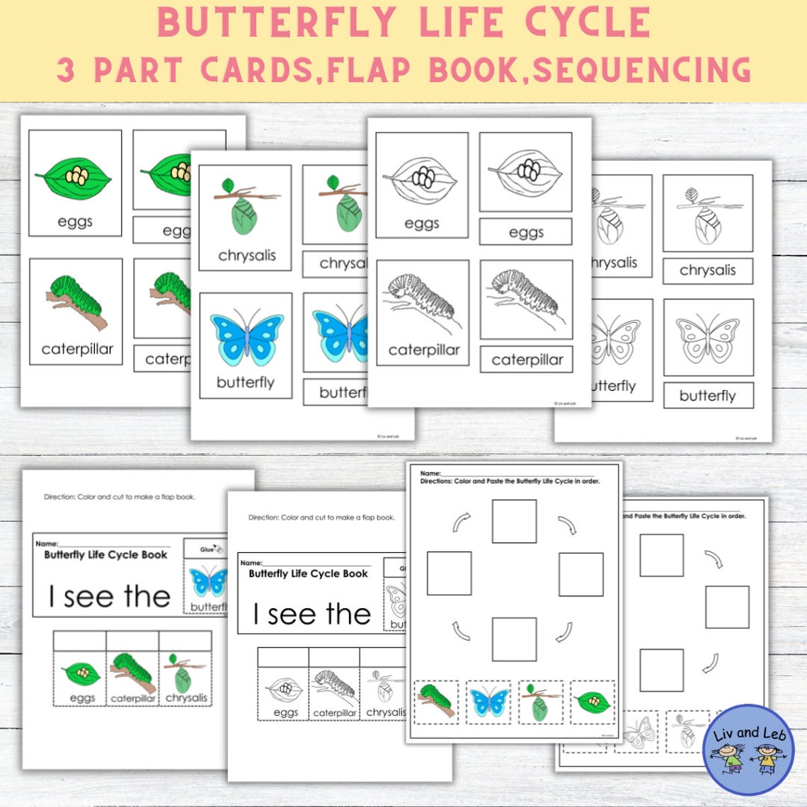 Butterfly Life Cycle- Life Cycle of a Butterfly- Insect Life Cycle - Etsy
