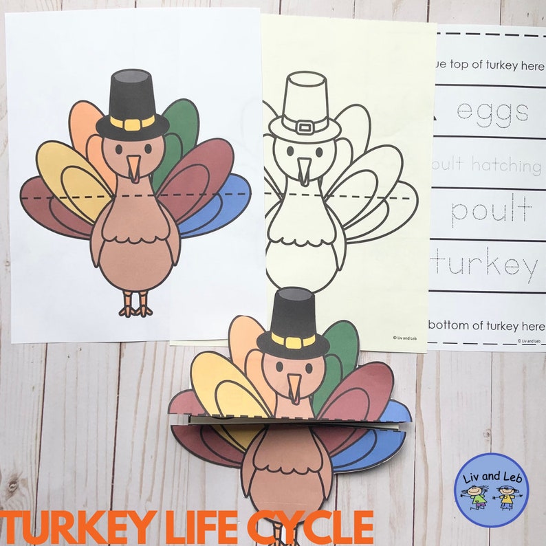 Turkey Life Cycle Craft - Etsy