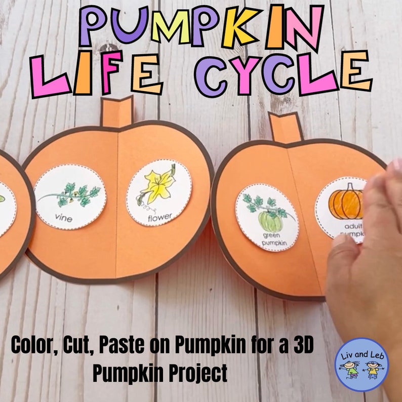 Pumpkin Life Cycle Kids Craft - Etsy