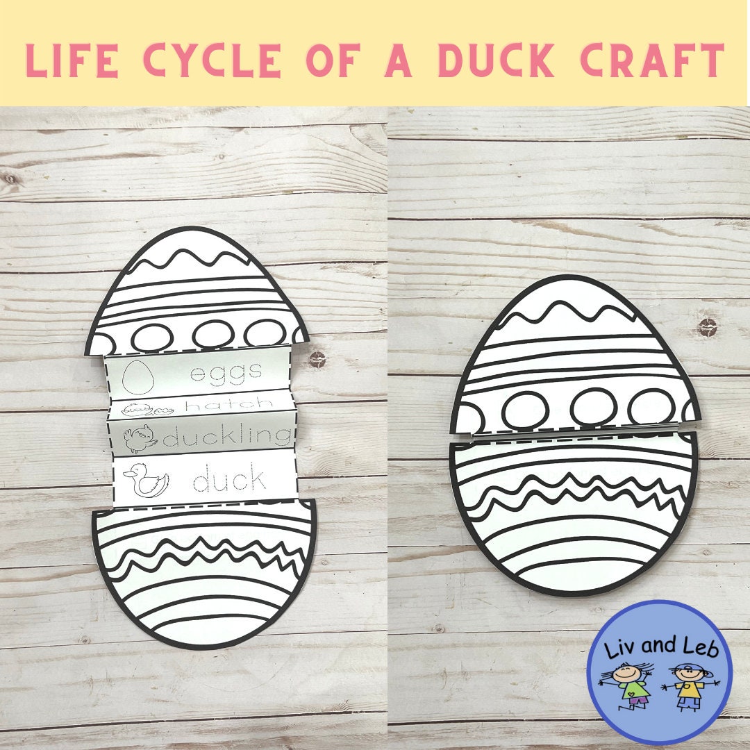 Easter Craft- Life Cycle of a Duck- Spring Craft - Etsy