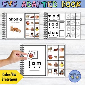 CVC Interactive Book- Word Family Short A Book - Etsy