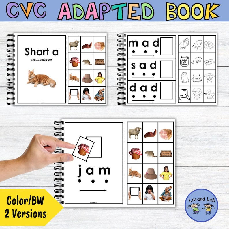 CVC Interactive Book- Word Family Short A Book - Etsy