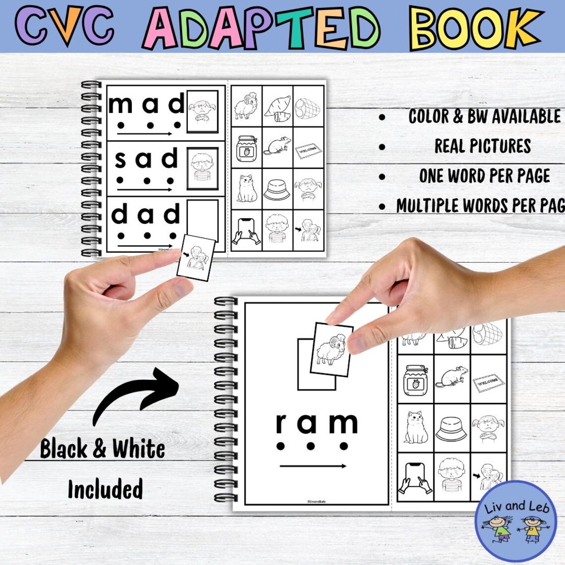 CVC Interactive Book- Word Family Short A Book - Etsy
