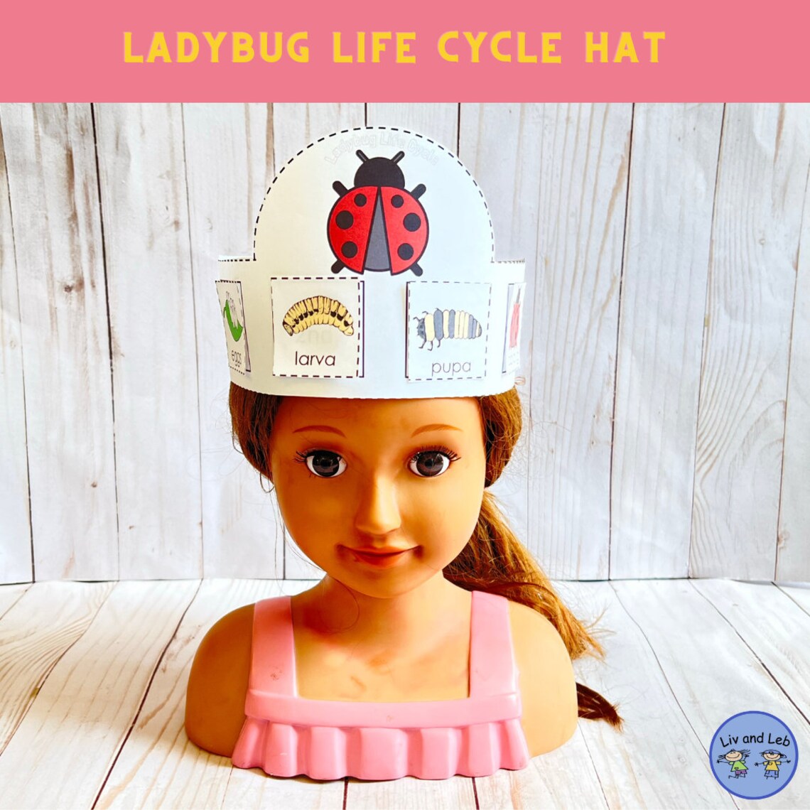 Ladybug Life Cycle Insect Life Cycle Life Cycle Of A Ladybug Etsy ladybug-life-cycle-insect-life-cycle-life-cycle-of-a-ladybug-etsy