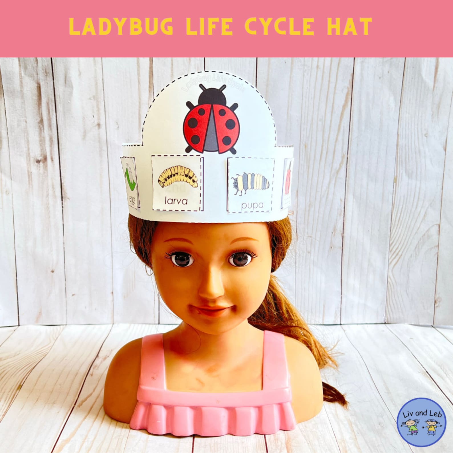 Ladybug Life Cycle Activity Bundle: Montessori Cards, Puzzle (PDF) - Etsy