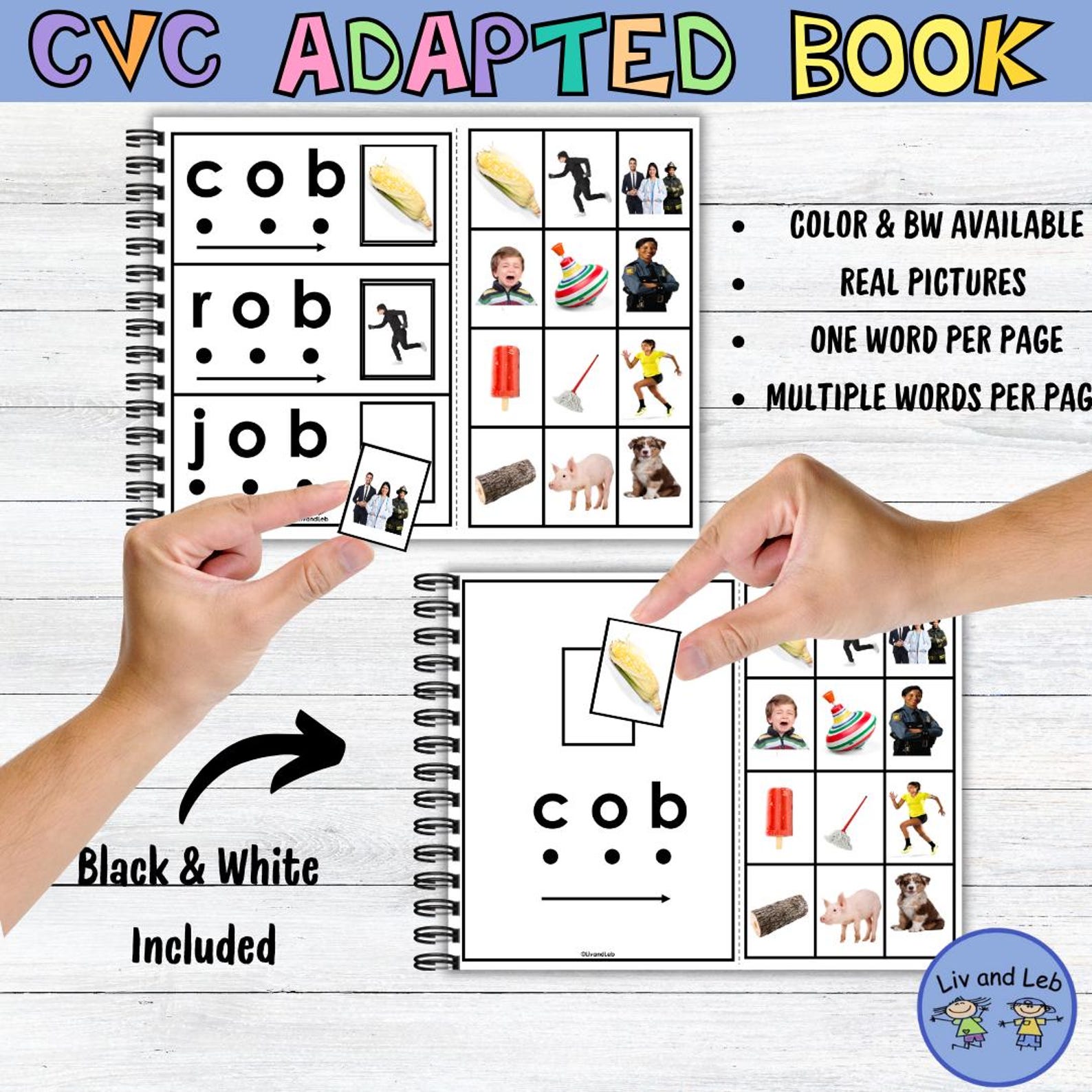 CVC Interactive Book- Word Family Short O Book - Etsy