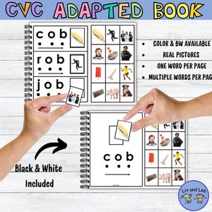 CVC Interactive Book- Word Family Short O Book - Etsy