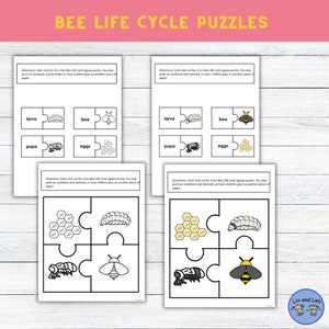 Bee Life Cycle Activities Bundle: Montessori Cards, Puzzle, Craft - Etsy