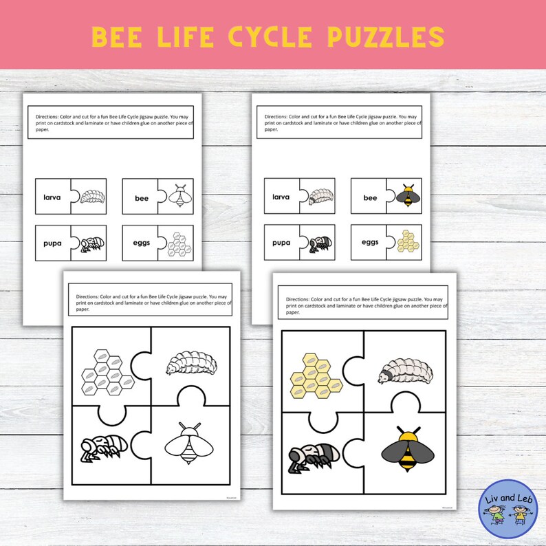 Bee Life Cycle Activities Bundle: Montessori Cards, Puzzle, Craft - Etsy