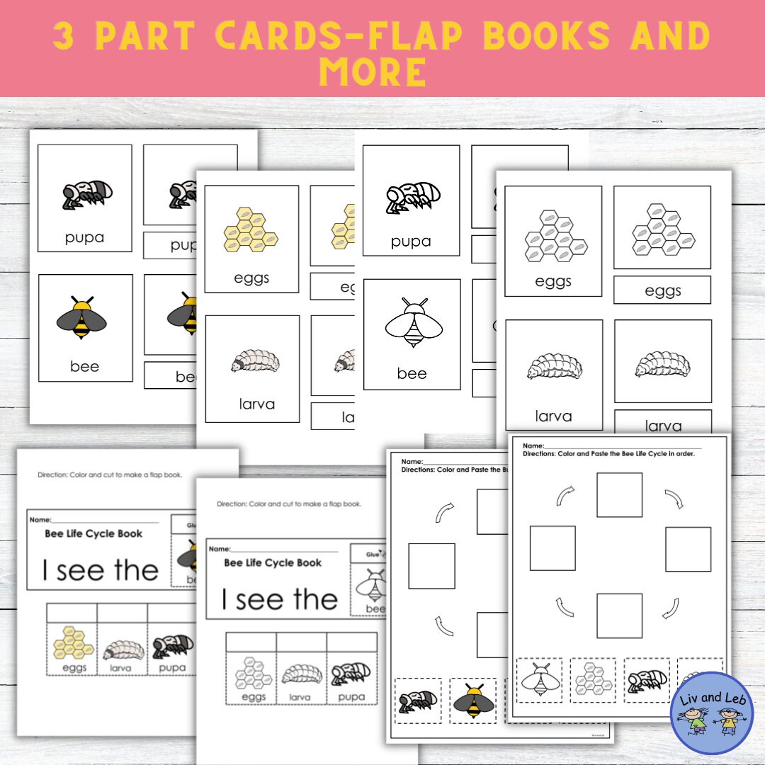 Bee Life Cycle Activities Bundle: Montessori Cards, Puzzle, Craft - Etsy