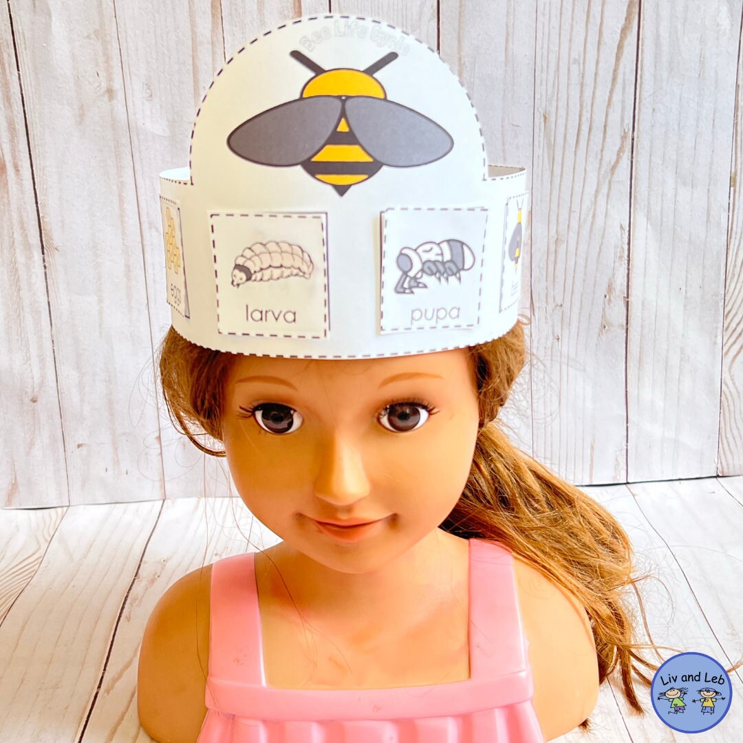 Bee Life Cycle Activities Bundle: Montessori Cards, Puzzle, Craft - Etsy