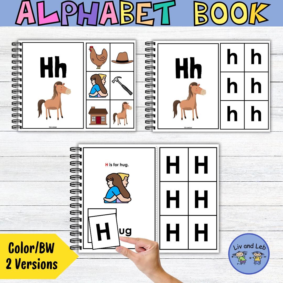 Interactive Alphabet Book for Beginning Sounds – Adapted ABC Book - Etsy