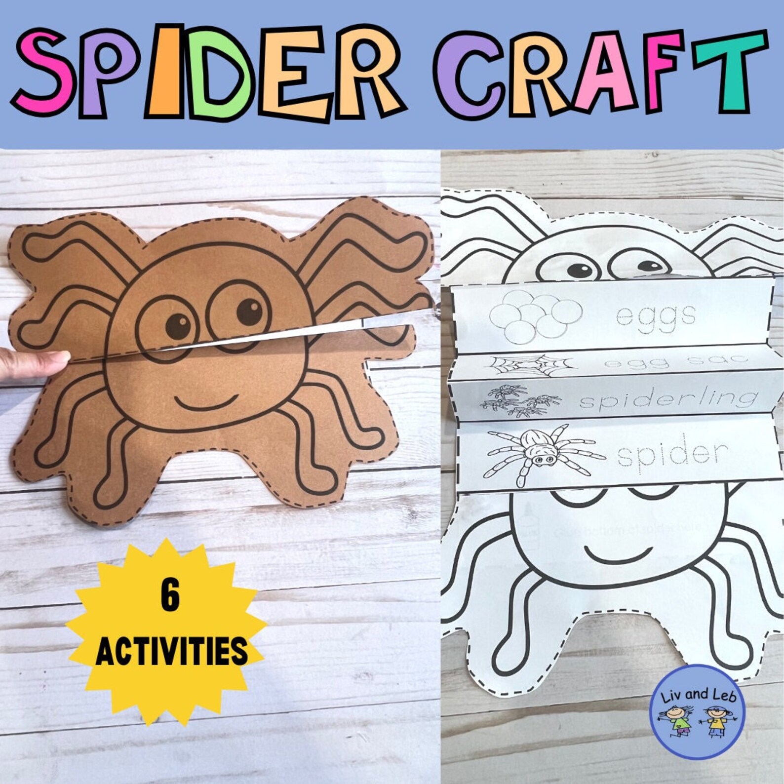 Spider Life Cycle Kids Craft - Etsy