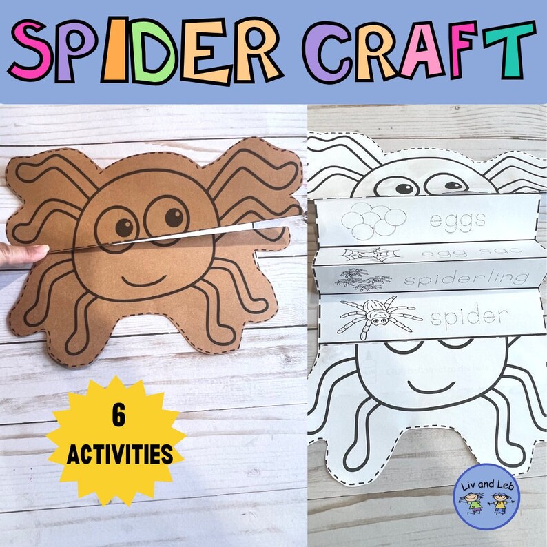 Spider Life Cycle Kids Craft - Etsy
