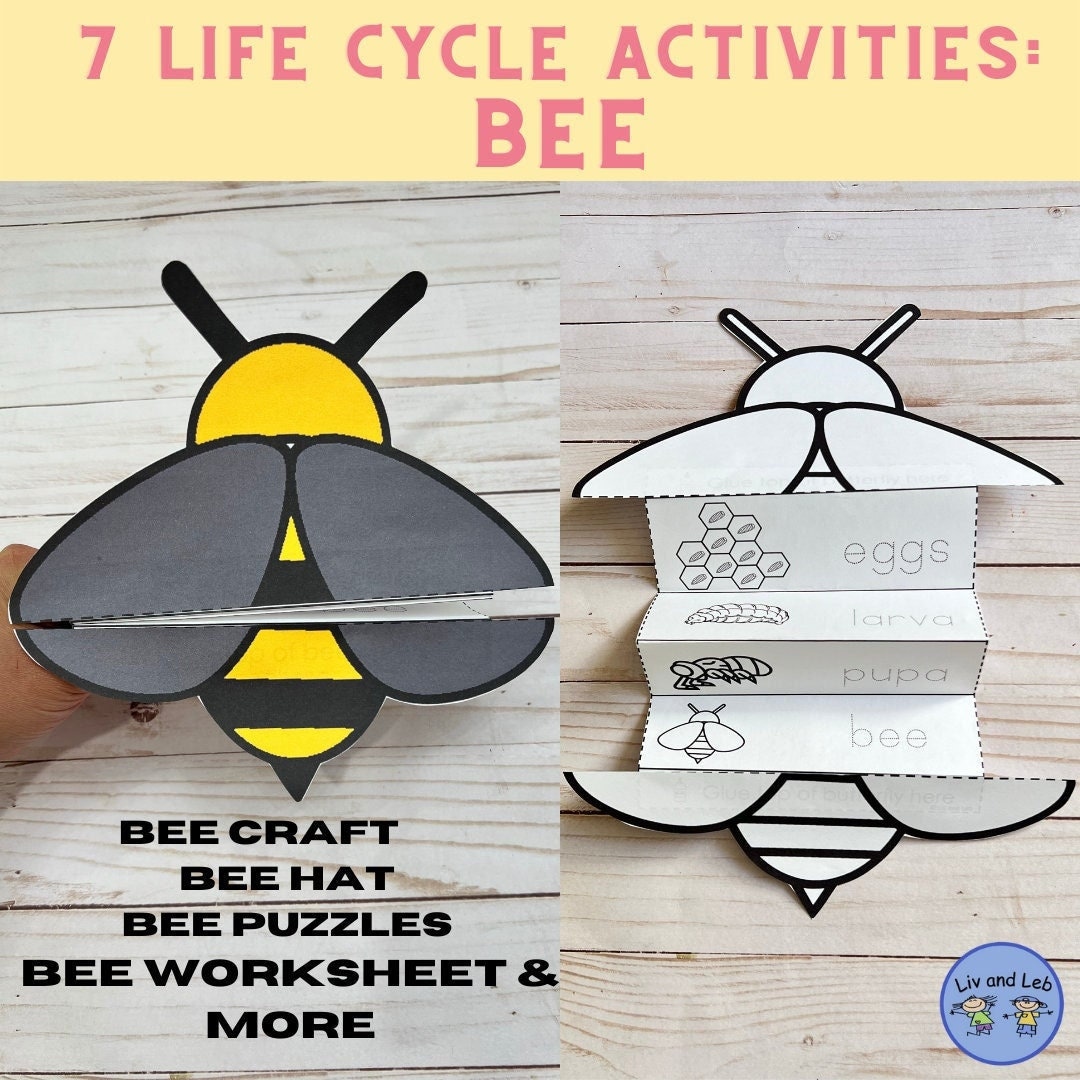 Bee Life Cycle Activities Bundle: Montessori Cards, Puzzle, Craft - Etsy