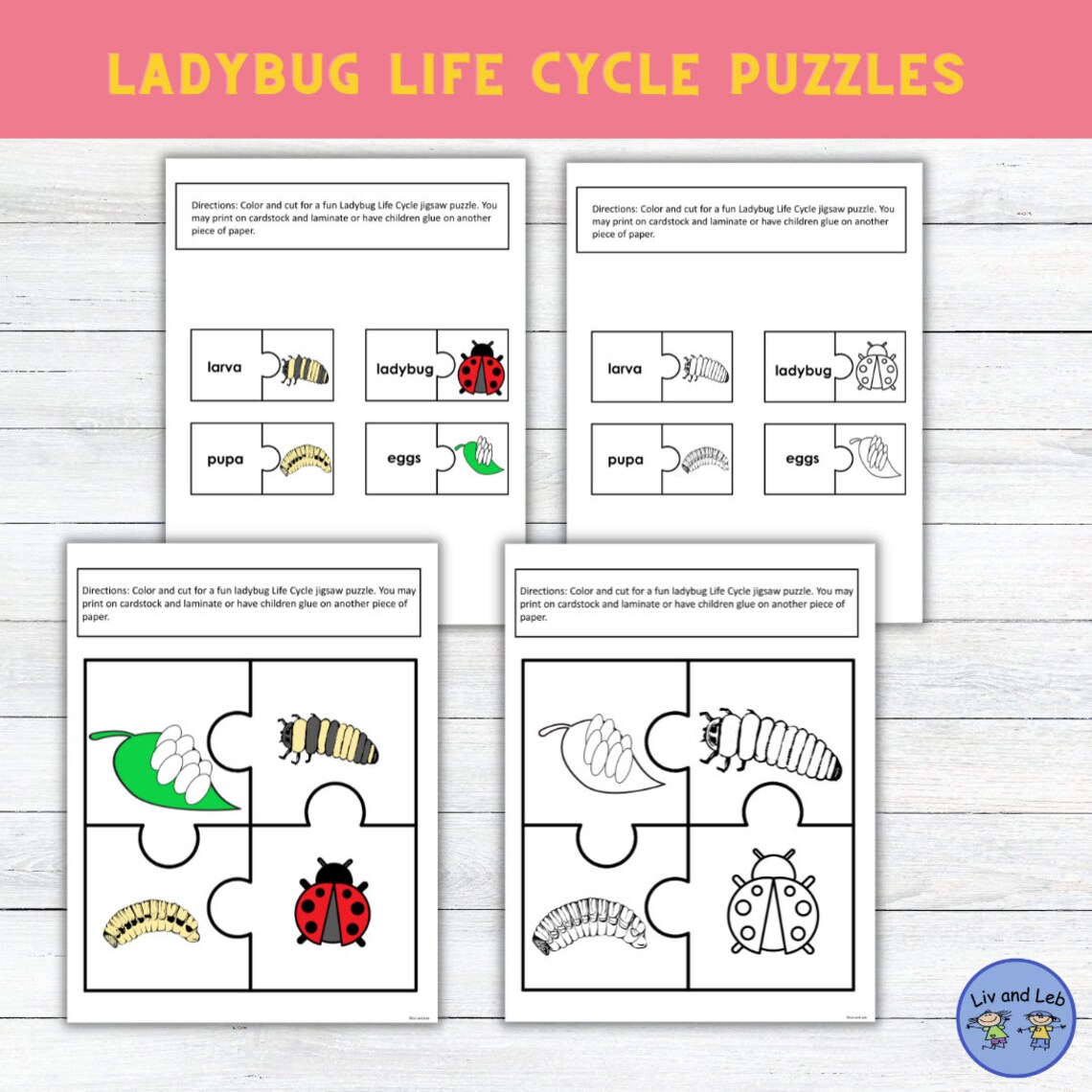Ladybug Life Cycle Activity Bundle: Montessori Cards, Puzzle (PDF) - Etsy
