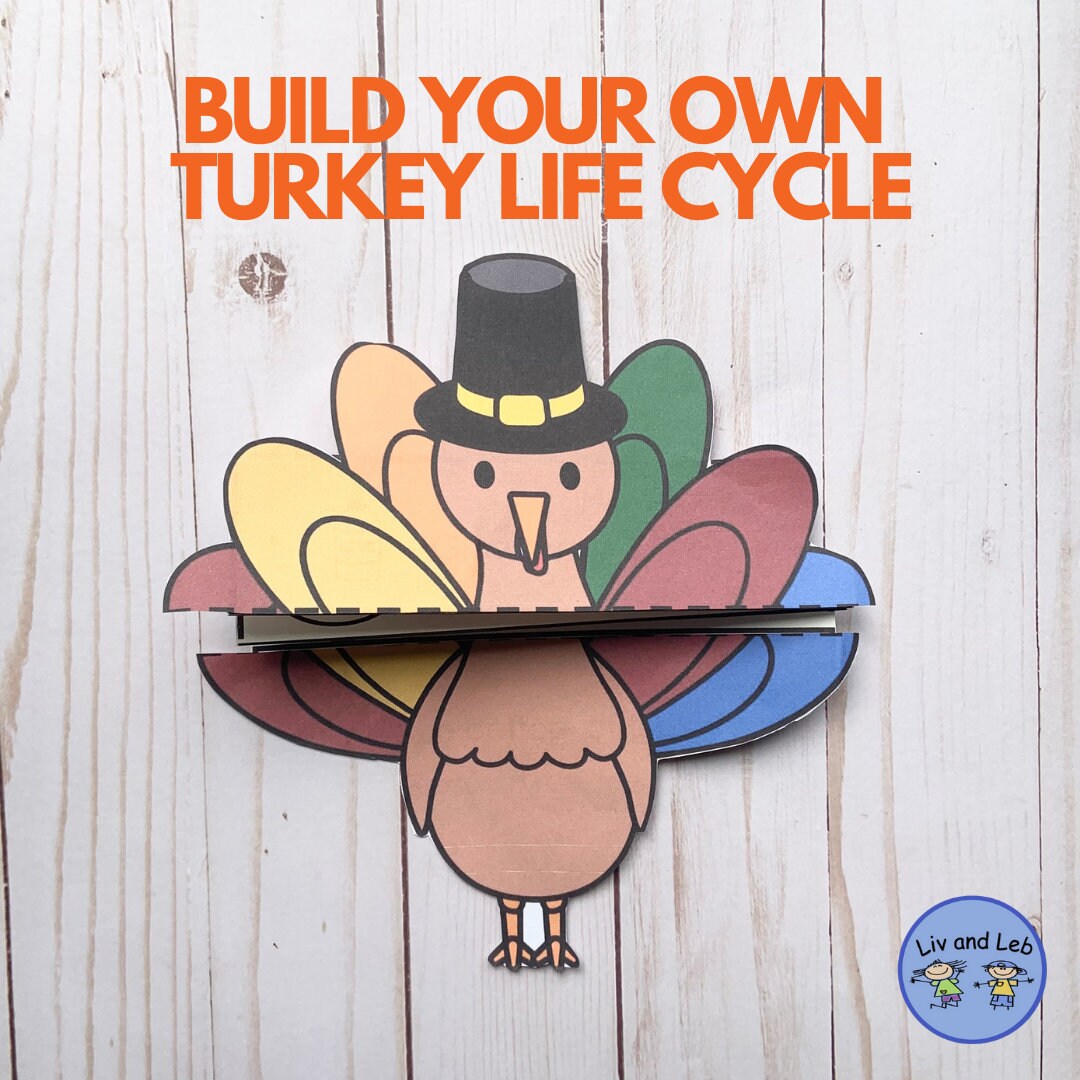 Turkey Life Cycle Craft - Etsy