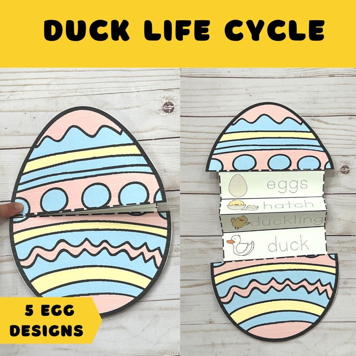 Easter Craft- Life Cycle of a Duck- Spring Craft - Etsy