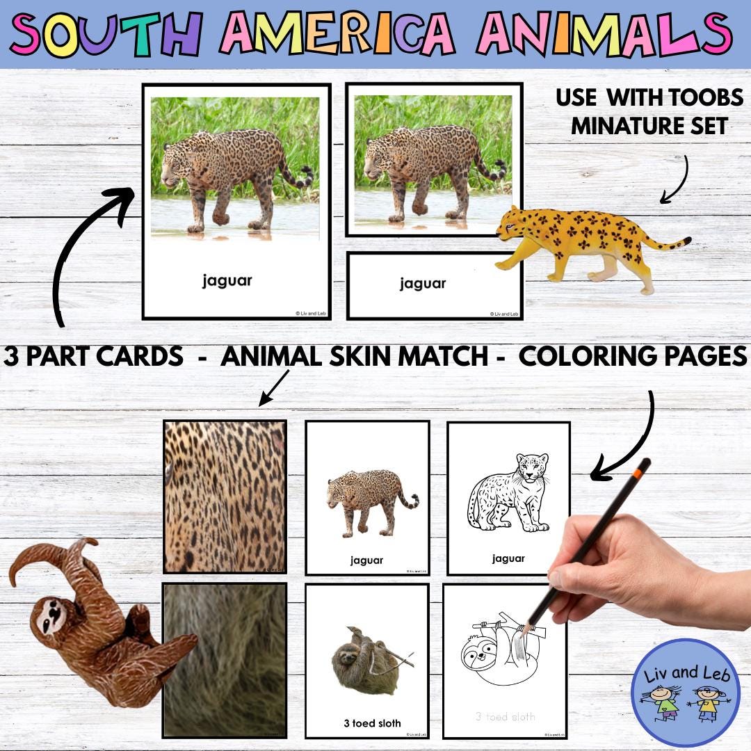 Montessori Animals of South America 3-part Cards: Coloring Book ...