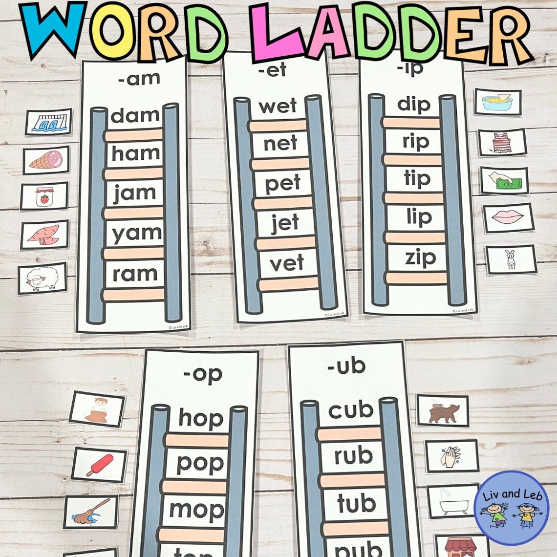 CVC Word Ladder: Early Reading, Word Families (printable) - Etsy