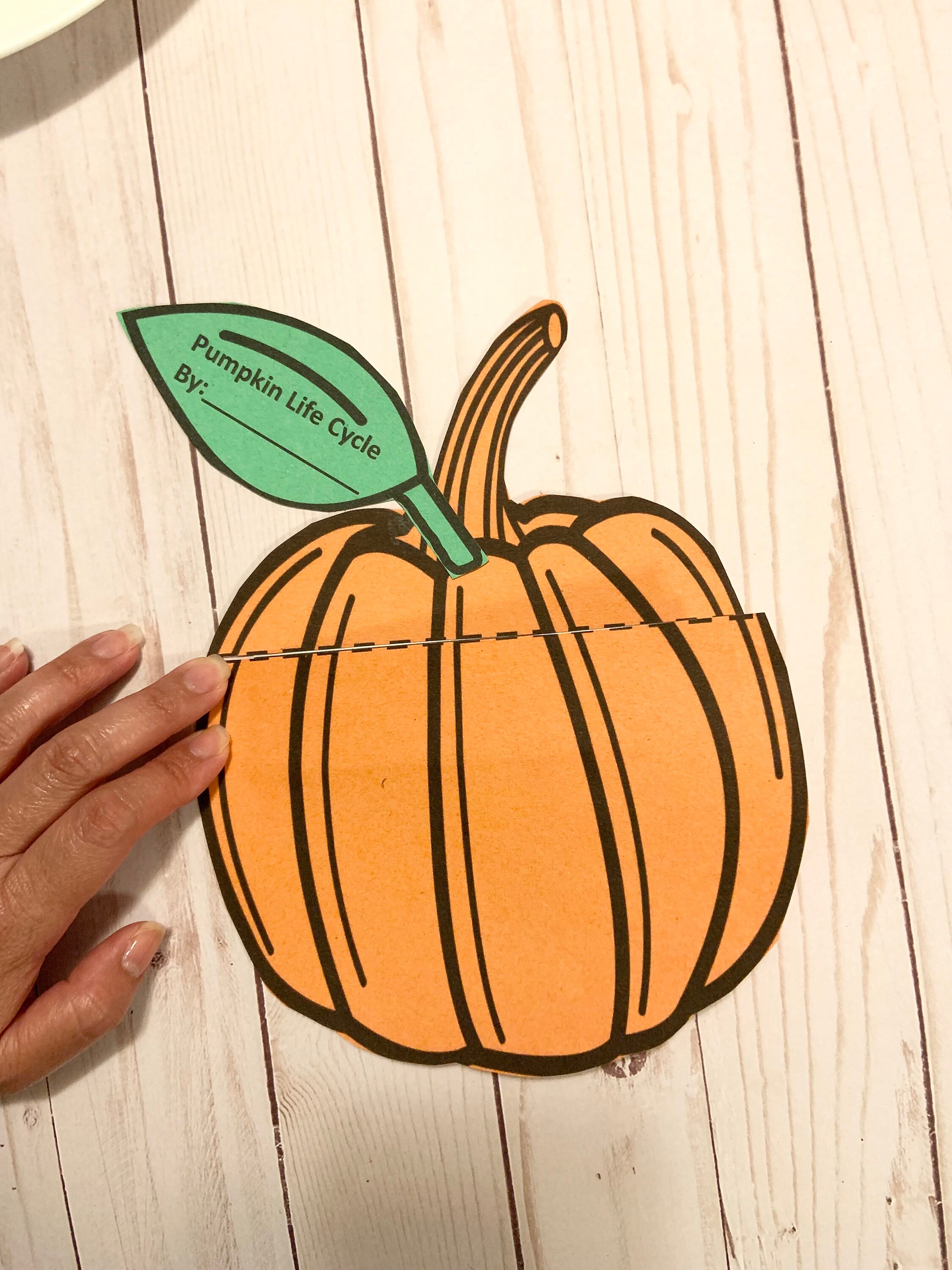 Pumpkin Life Cycle Kids Craft - Etsy
