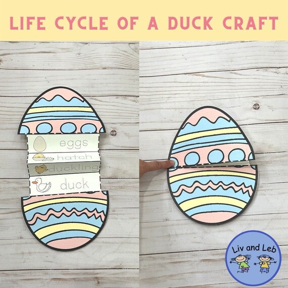 Easter Craft Life Cycle of a Duck Spring Craft | Etsy
