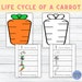 Life Cycle of Carrot Craft - Etsy