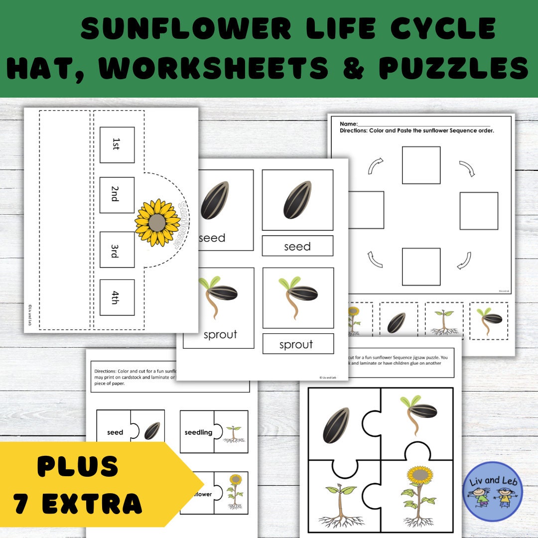Plant Life Cycle Sunflower Craft Spring Crafts - Etsy