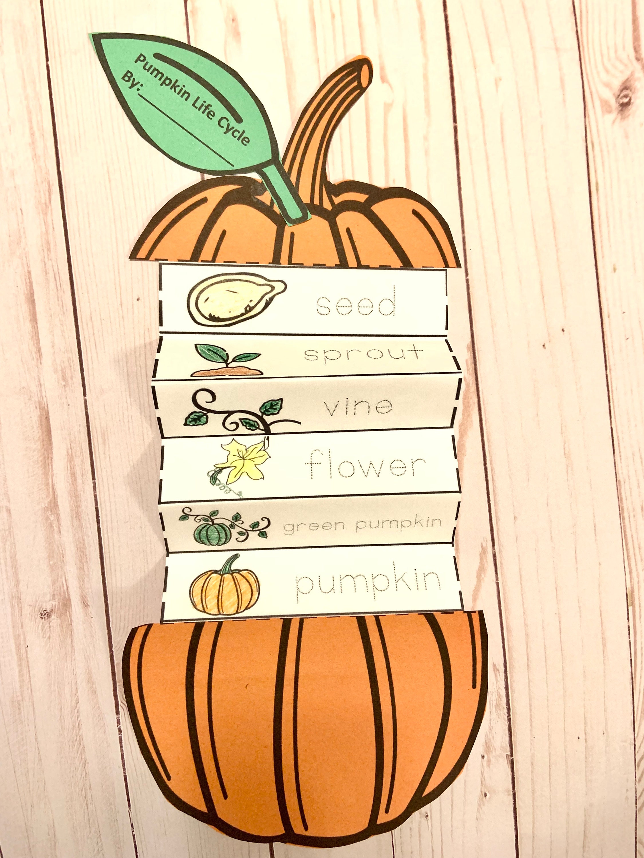 Pumpkin Life Cycle Kids Craft - Etsy