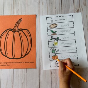 Pumpkin Life Cycle Kids Craft - Etsy