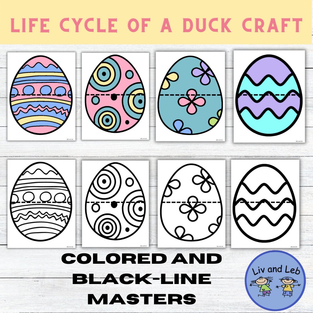 Easter Craft- Life Cycle of a Duck- Spring Craft - Etsy