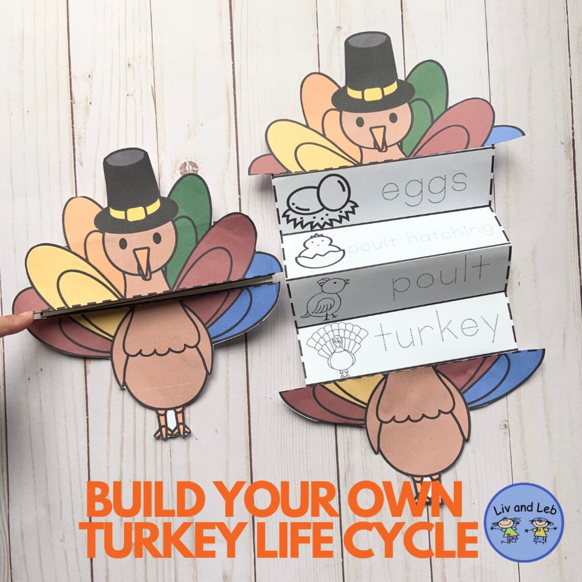 Turkey Life Cycle Craft - Etsy