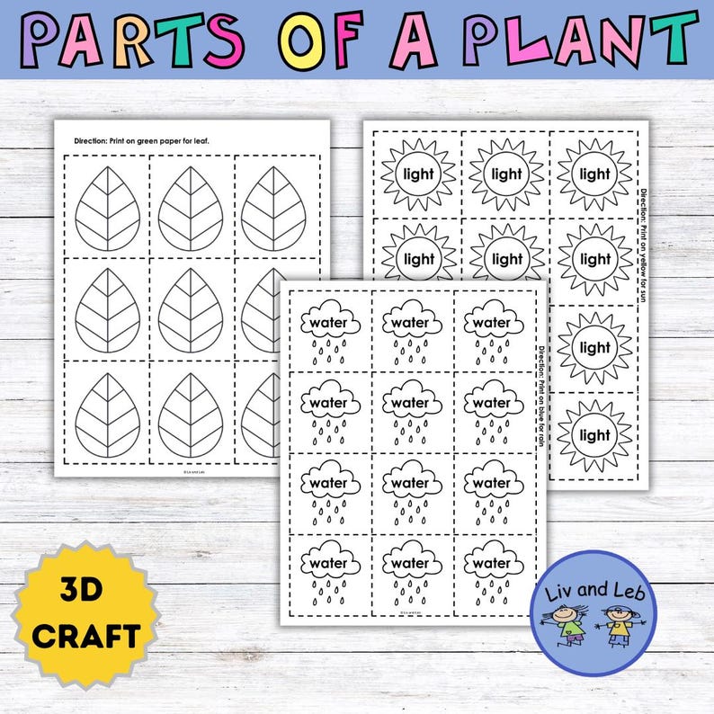 Parts of a Plant Craft | Flower Science Activity | Spring Bulletin ...