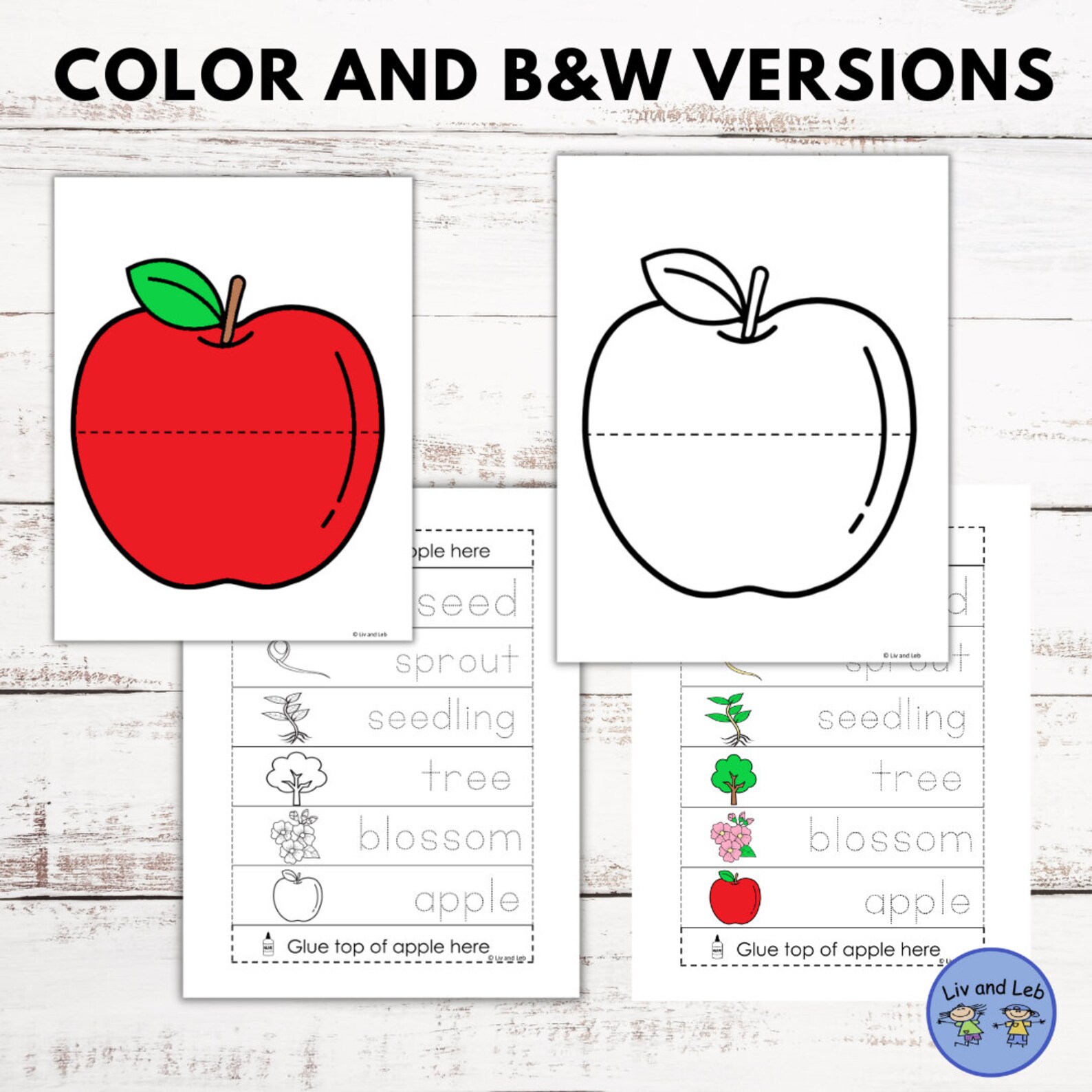 Apple Life Cycle Kids Craft - Etsy