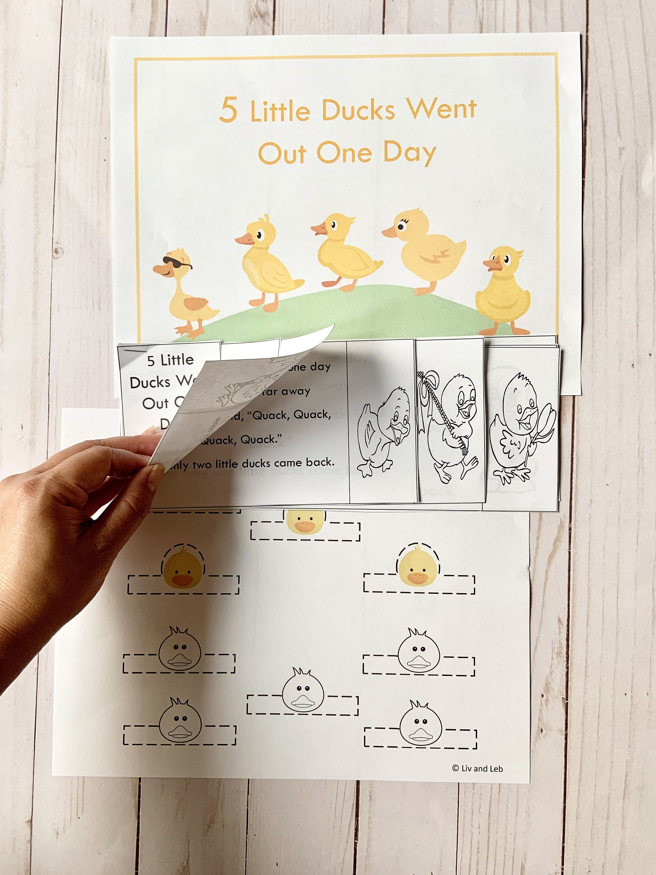 5 Little Ducks Interactive Book and Fingr Puppet - Etsy