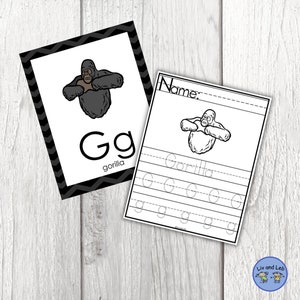 Zoo Animal Phonics Flashcard-poster and Handwriting Coloring Pages - Etsy