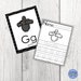 Zoo Animal Phonics Flashcard-poster and Handwriting Coloring Pages - Etsy