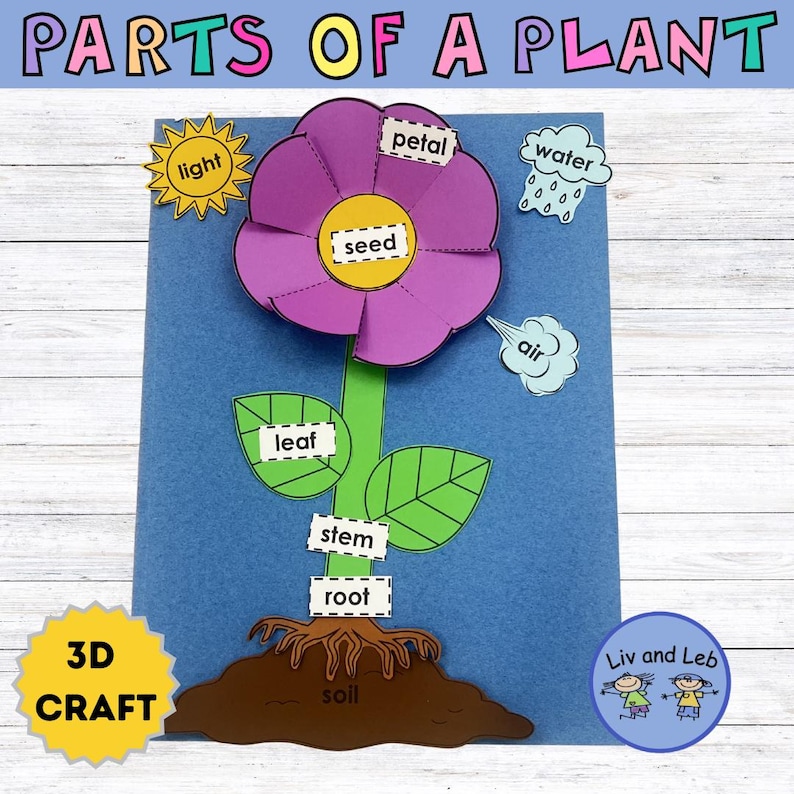 Parts of a Plant Craft | Flower Science Activity | Spring Bulletin ...