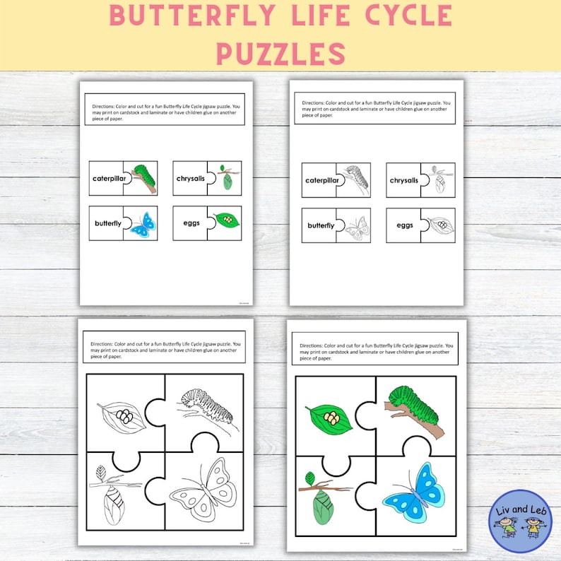 Butterfly Life Cycle- Life Cycle of a Butterfly- Insect Life Cycle - Etsy